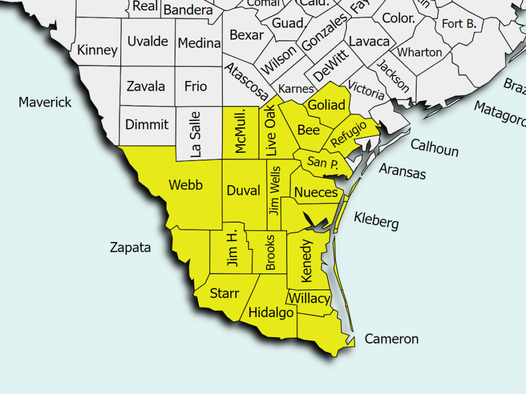 South - Texas State Militia
