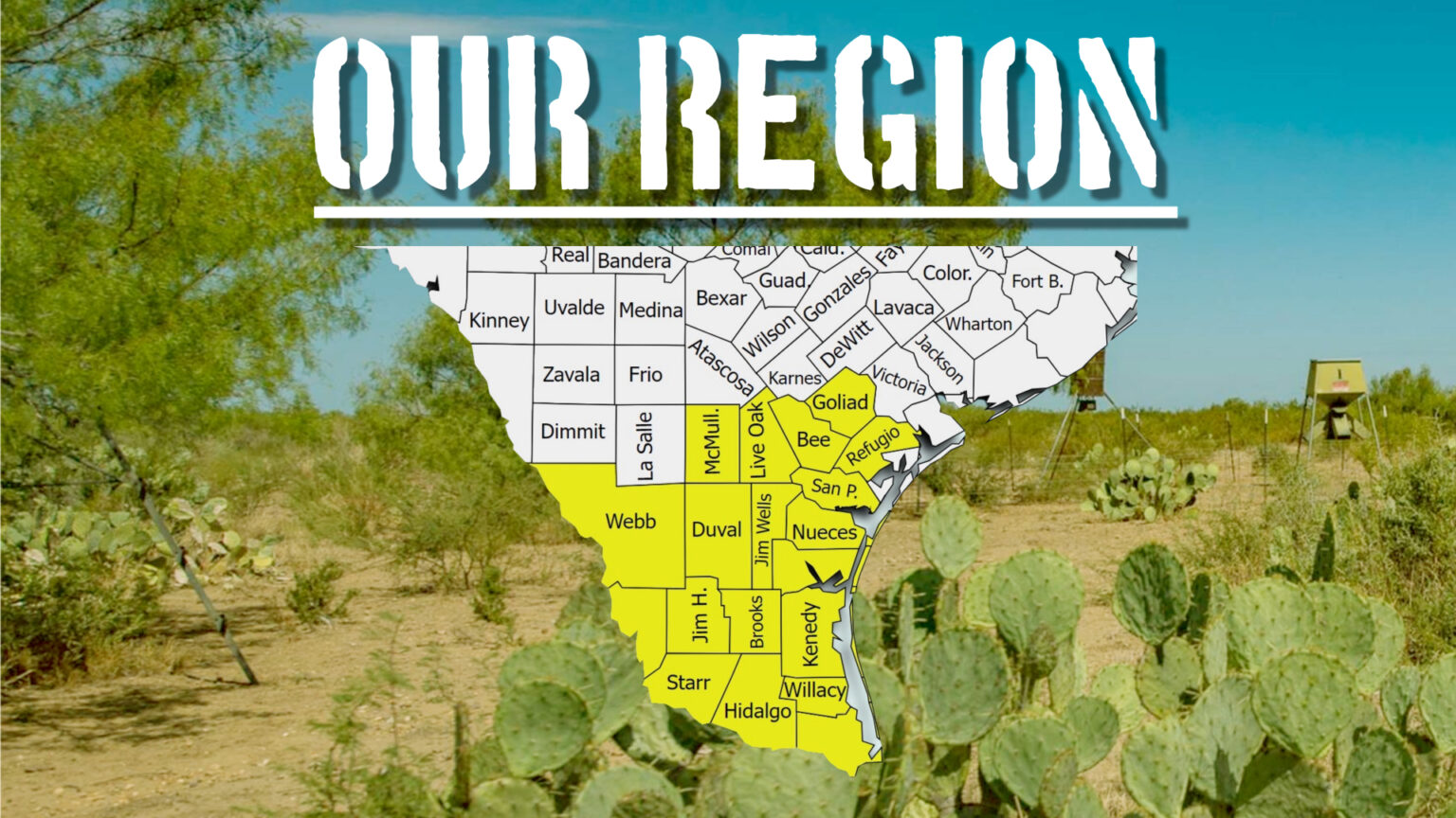 South - Texas State Militia